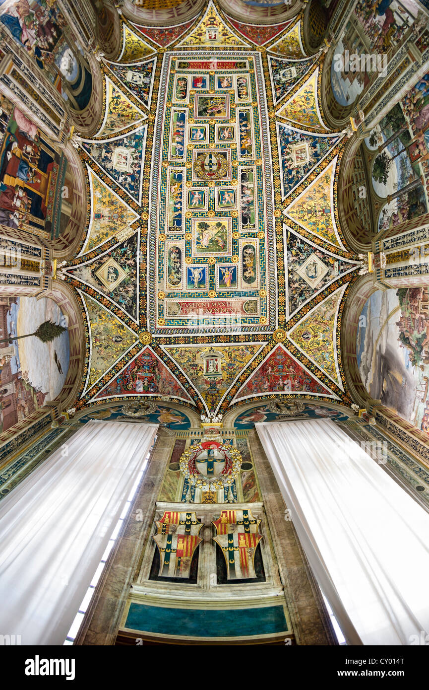 Interior view, ceiling painting in the Cathedral Library, Libreria ...