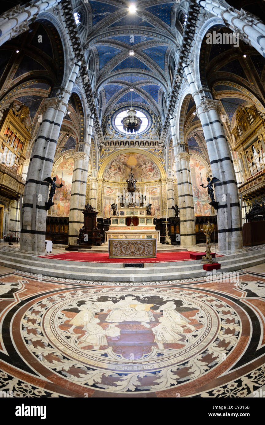 Interior view, altar area, Cathedral of Siena, Cattedrale di Santa ...