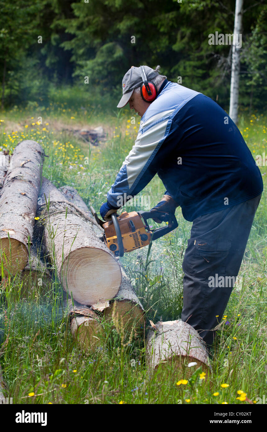 Finland logging saw hi-res stock photography and images - Alamy