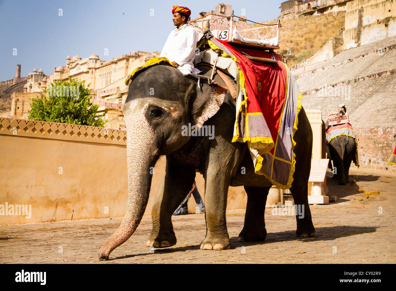 Elephant carrying hi-res stock photography and images - Alamy