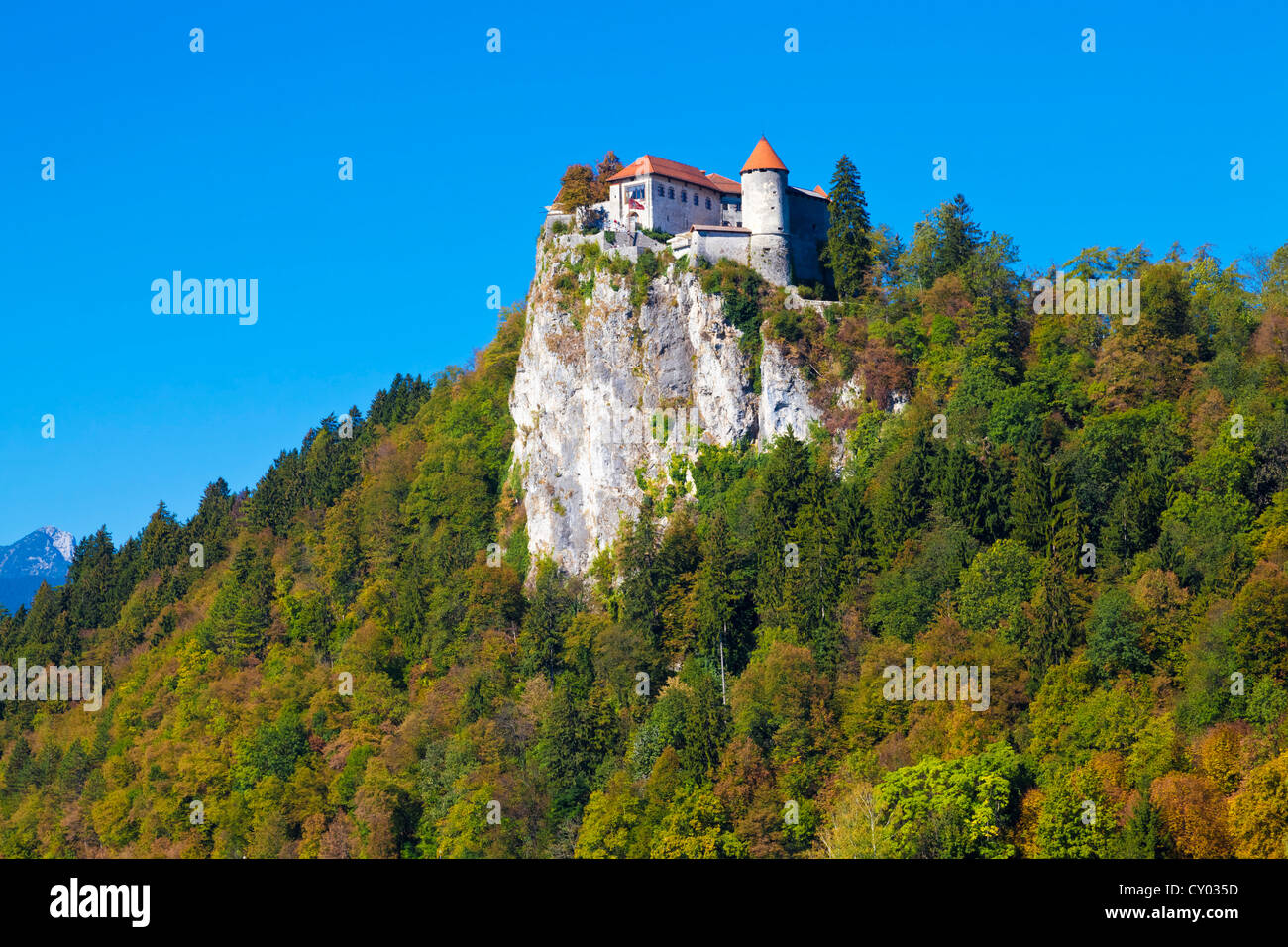 Old medieval castle above bled hi-res stock photography and images - Alamy