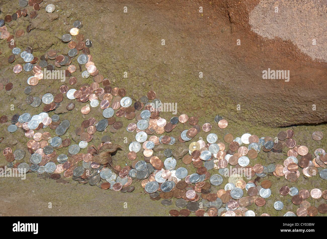 Money under water Stock Photo - Alamy