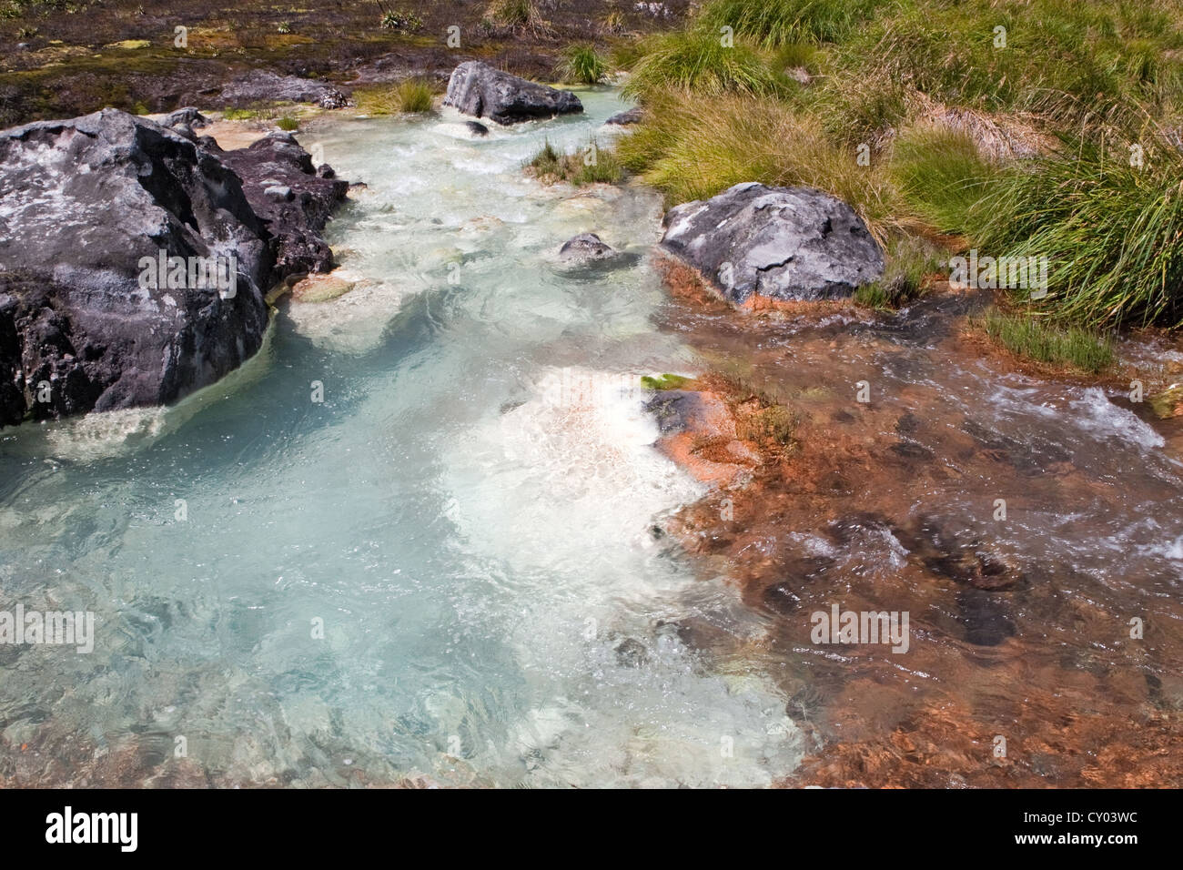 Hot sulphur springs, Volcan, Parque de Nacional Naturales Purace ...