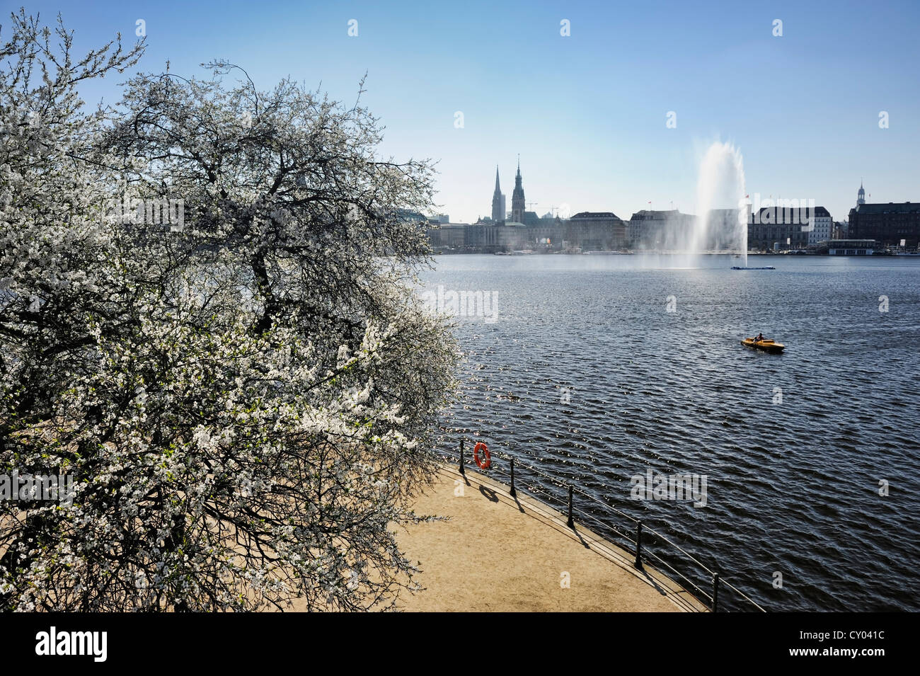 Spring bloom on the Inner Alster Lake in Hamburg Stock Photo - Alamy