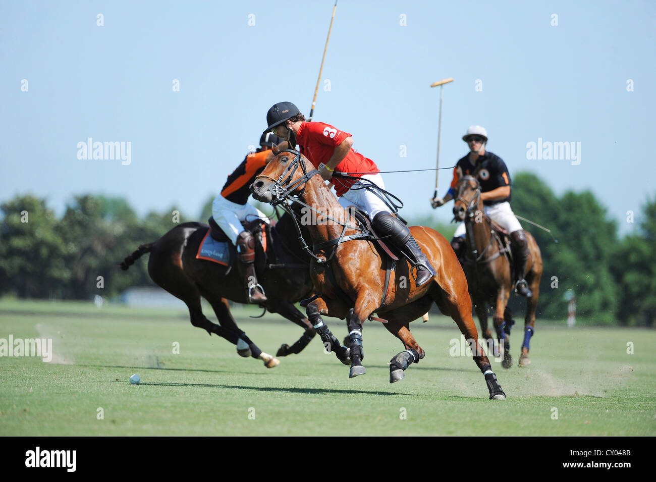 A polo player just about to hit the ball Stock Photo - Alamy