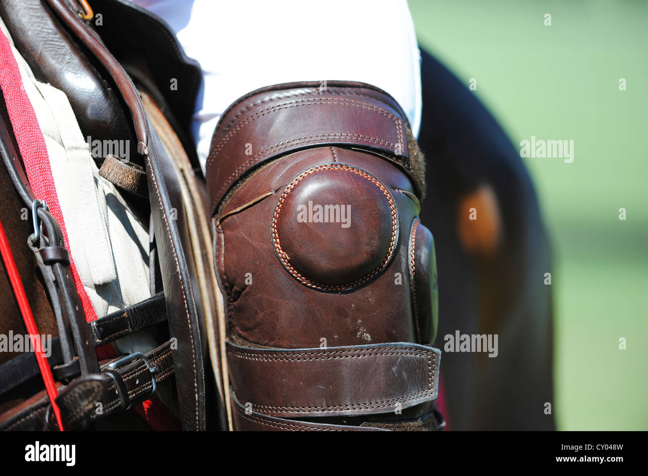 Leathery pads hi-res stock photography and images - Alamy