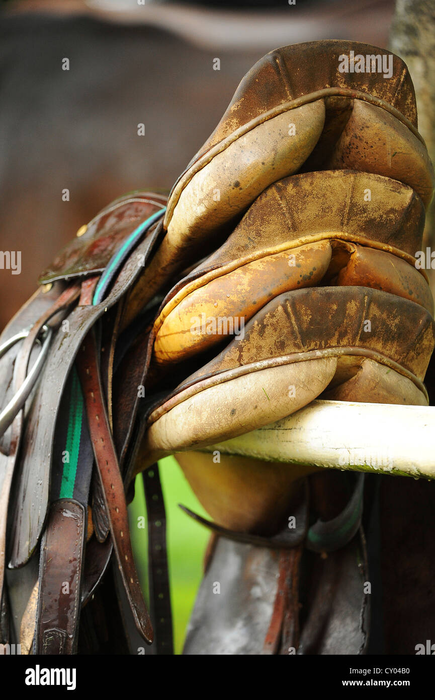 Three polo saddles stacked on top of each other Stock Photo - Alamy