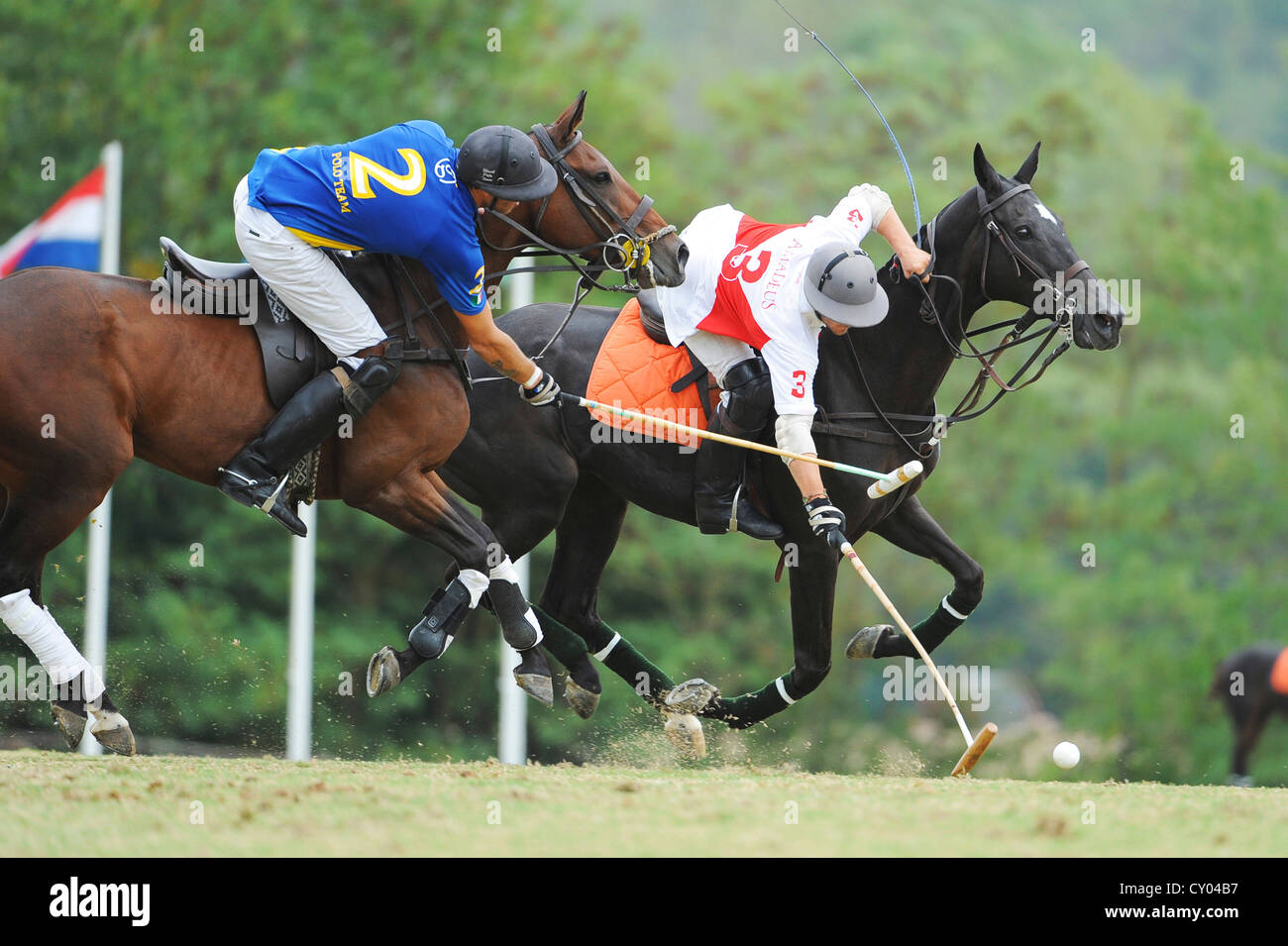 A polo player is trying to stop the other one from controlling the ball ...