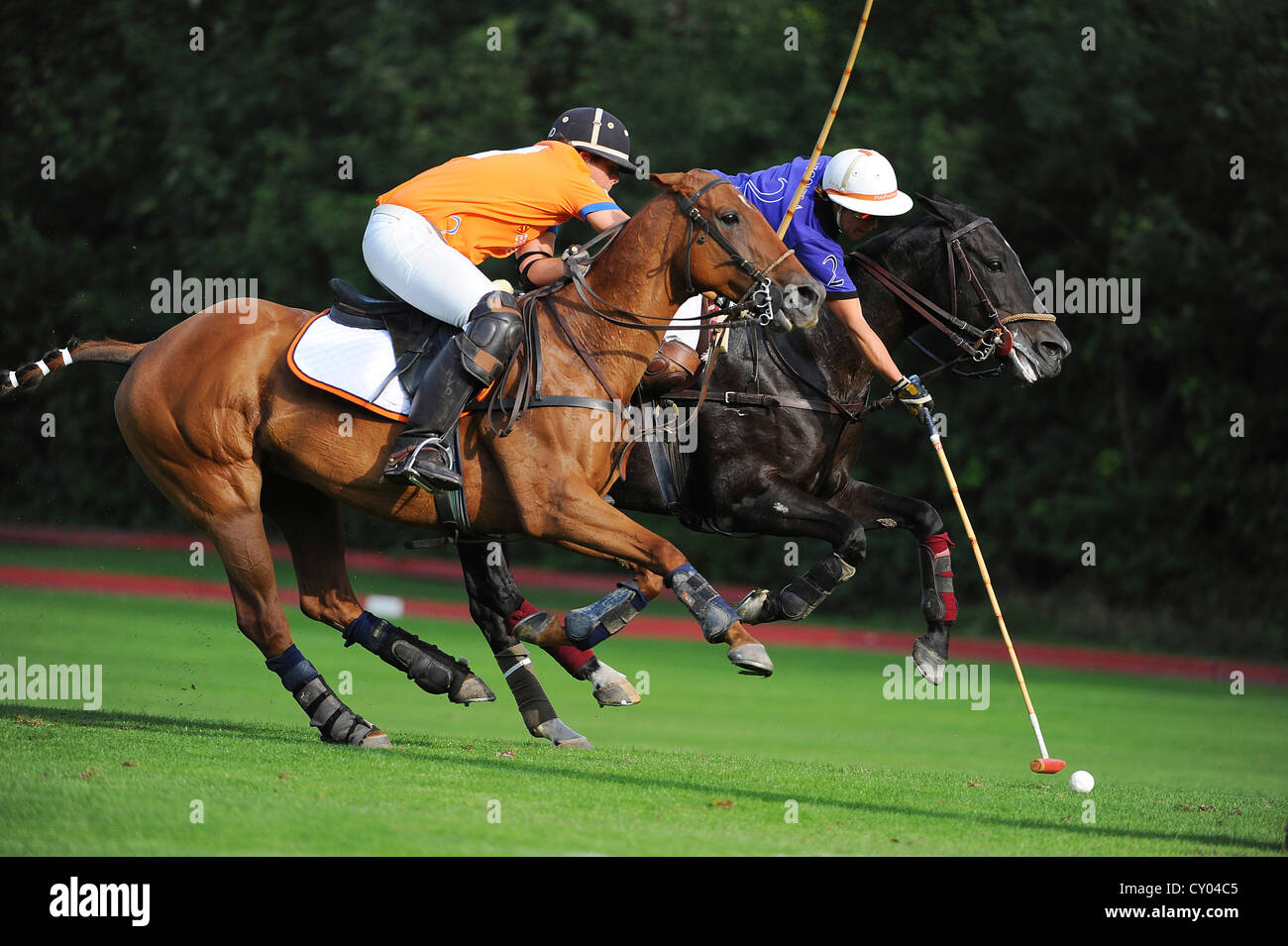 Two polo players are fighting for the ball, Polo European Championships ...