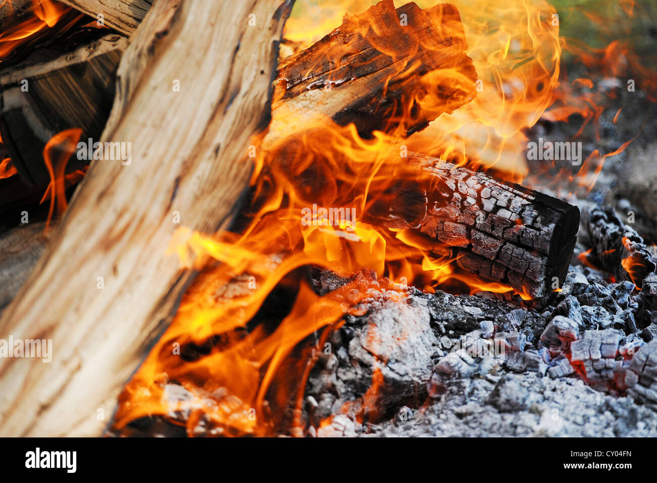 Wood for bonfires hi-res stock photography and images - Alamy