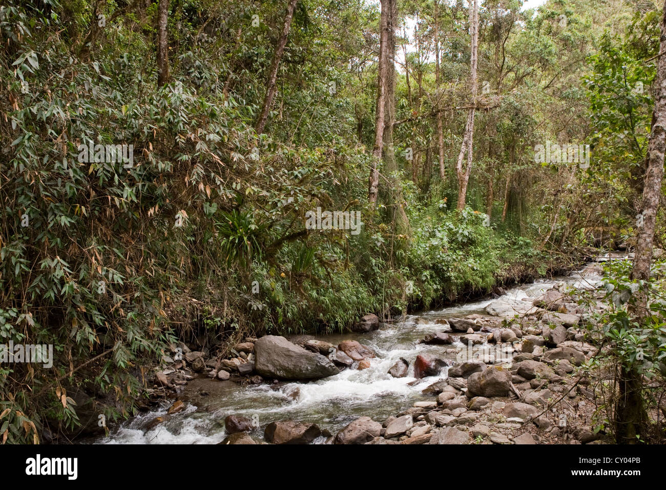 Rio quindio hi-res stock photography and images - Alamy