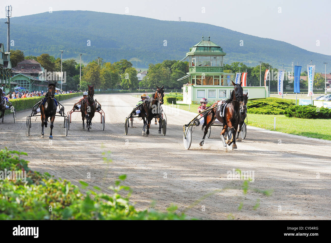 Trotting race, harness racing track, Baden, Lower Austria, Europe Stock ...