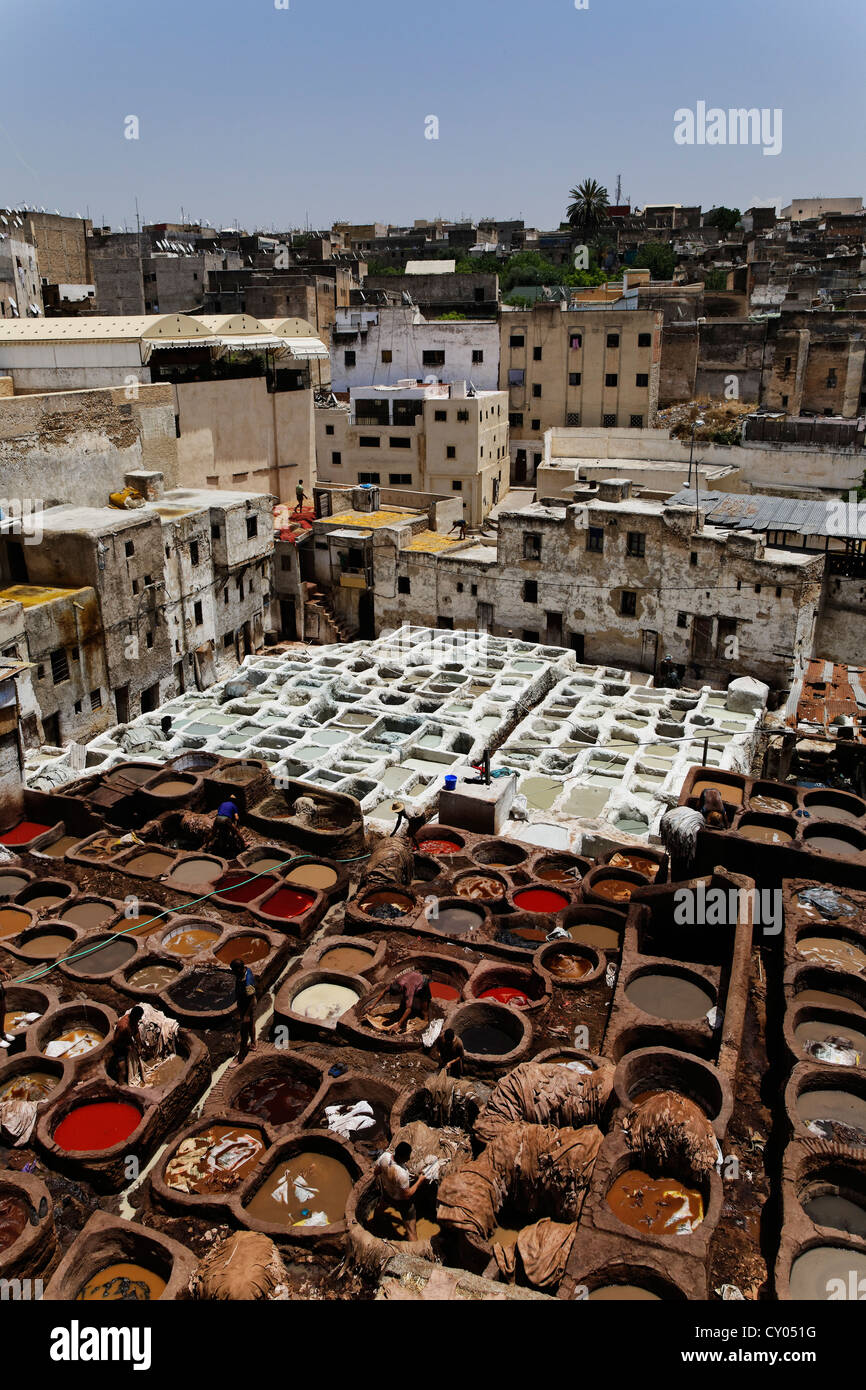 Traditional tanneries and dye works in Fès, Fez, Fès-Boulemane, Morocco ...