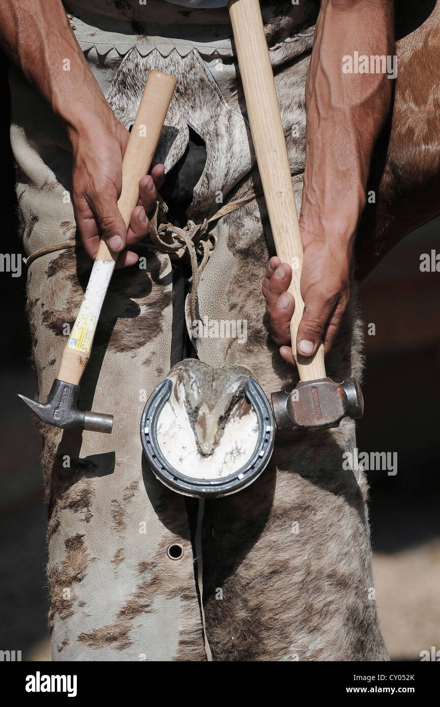 A blacksmith setting up a horseshoe Stock Photo - Alamy