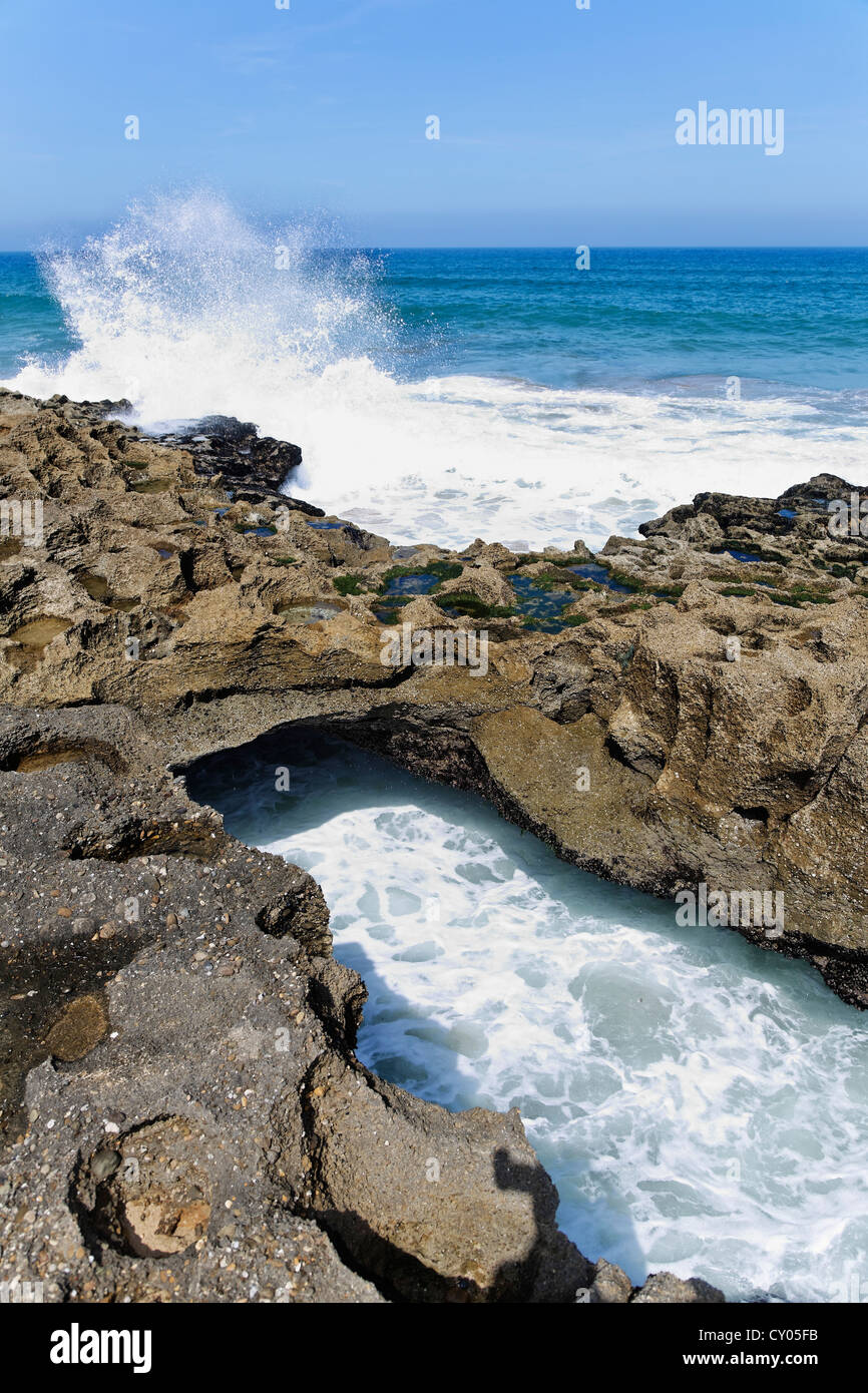 Atlantic coast, Tangier-Assilah, Tangier-Tetouan, Morocco, North Africa ...