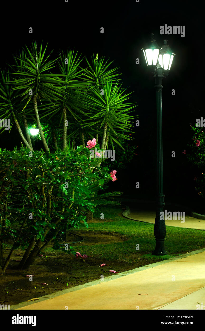 Night picture of the lamp in the park. Decorative garden in the night ...