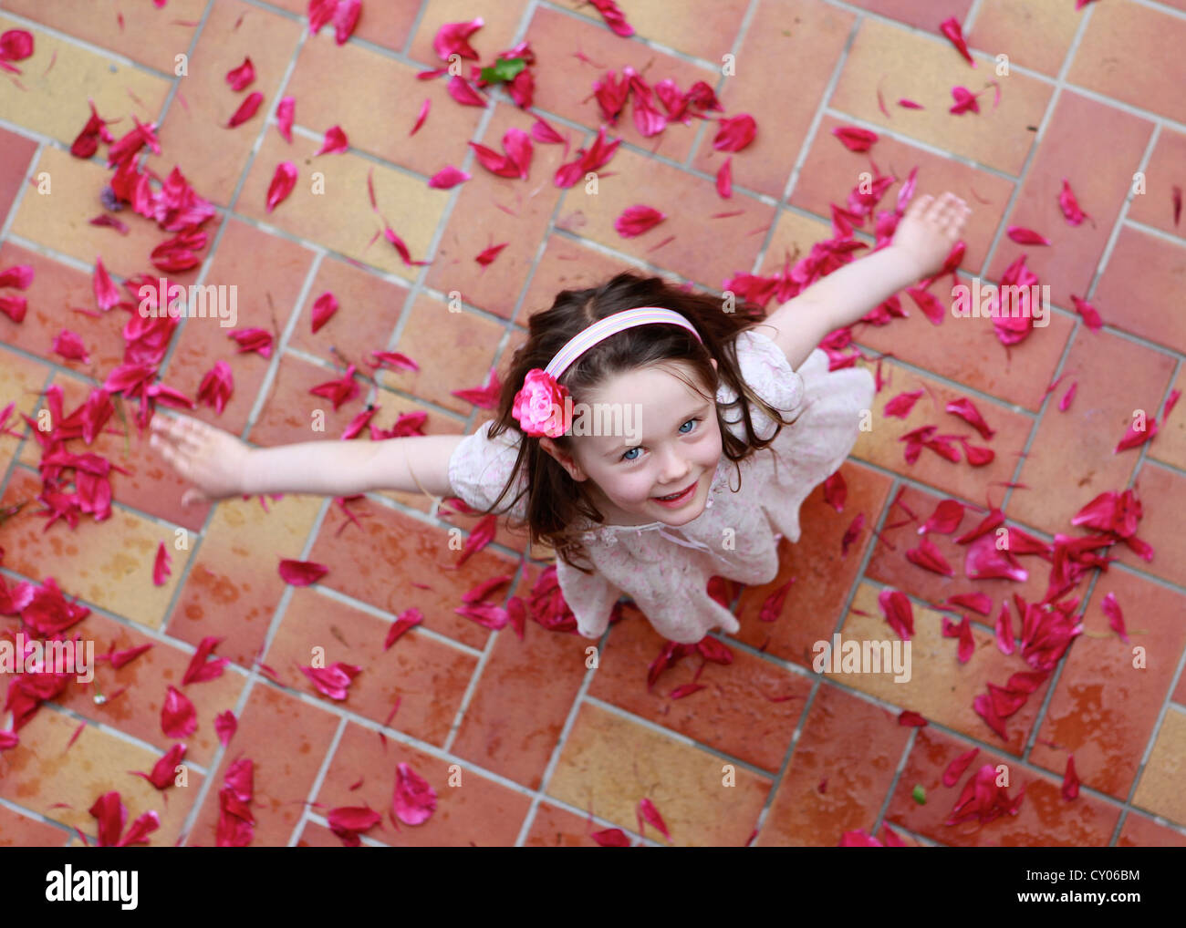 Little girl, three years, dancing on red petals, from above Stock Photo ...