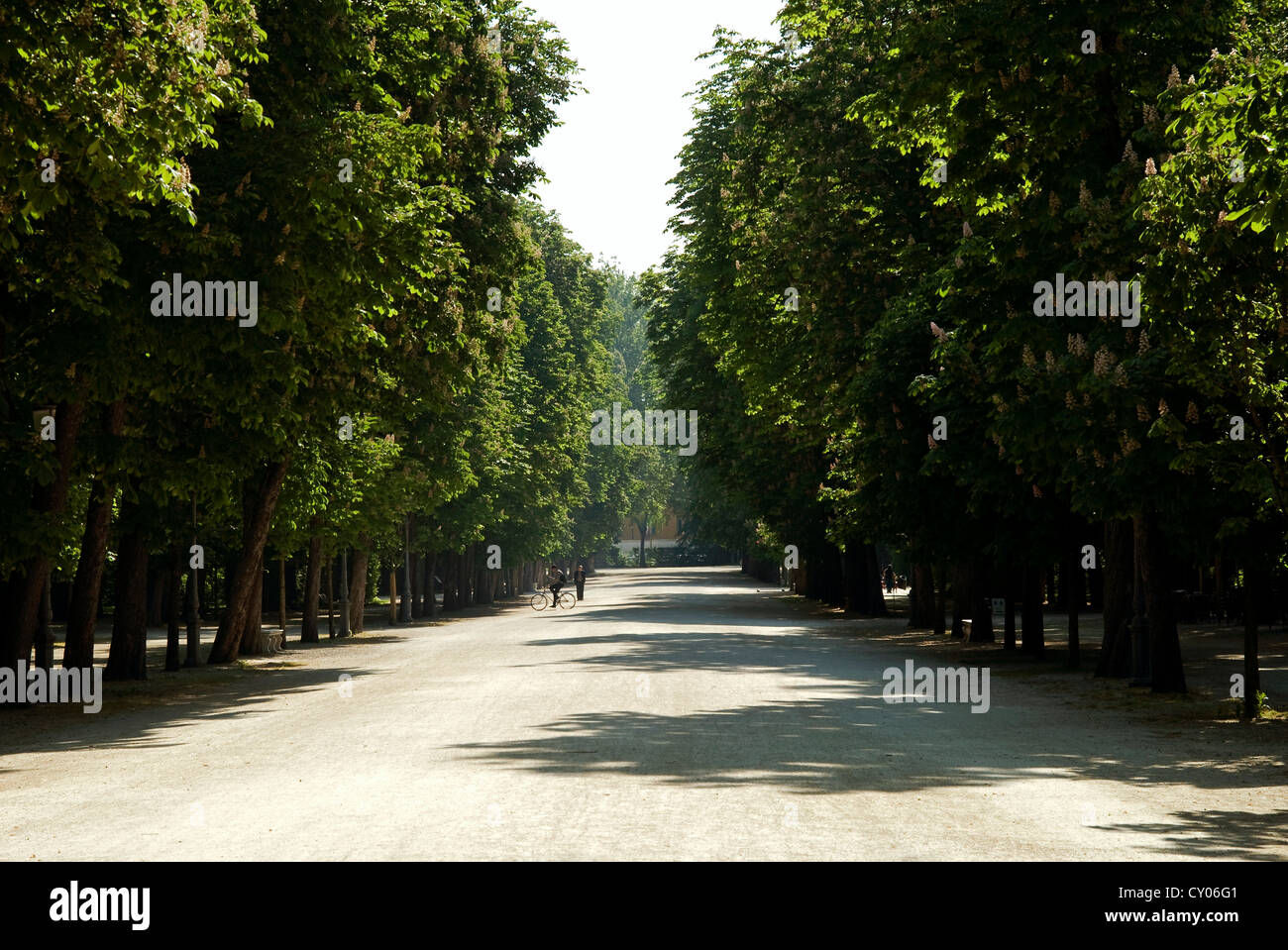 Parco ducale hi-res stock photography and images - Alamy