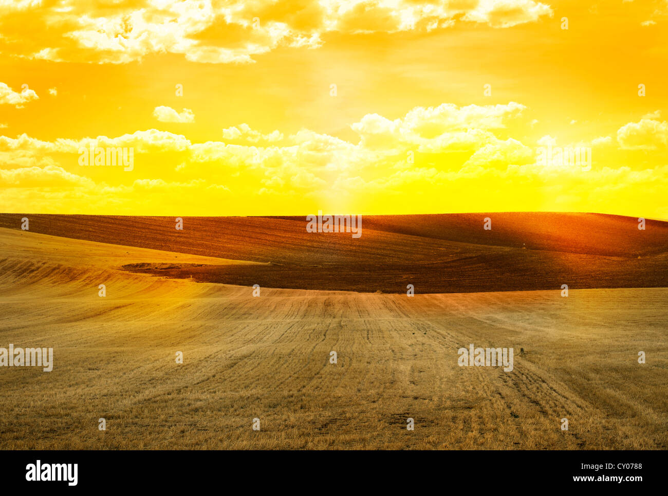 Agricultural land and yellow sunset sky Stock Photo - Alamy