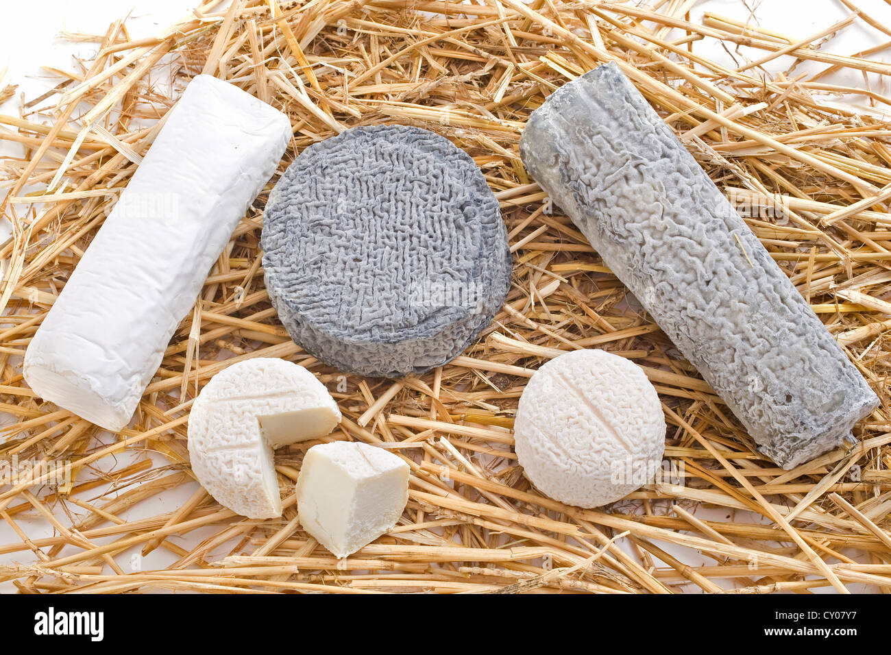 various of local speciality goat cheese in front of white background ...