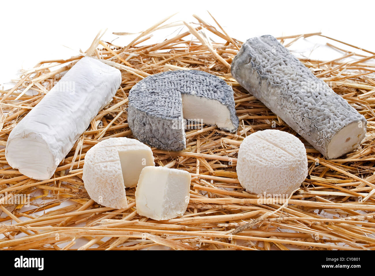 variousof local speciality goat cheese in front of white background ...