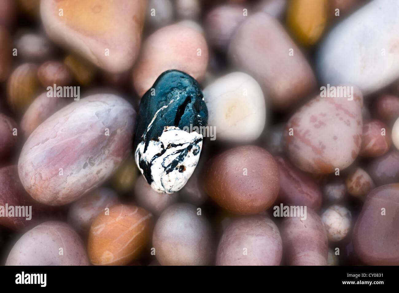 images of smooth beach pebbles Stock Photo - Alamy