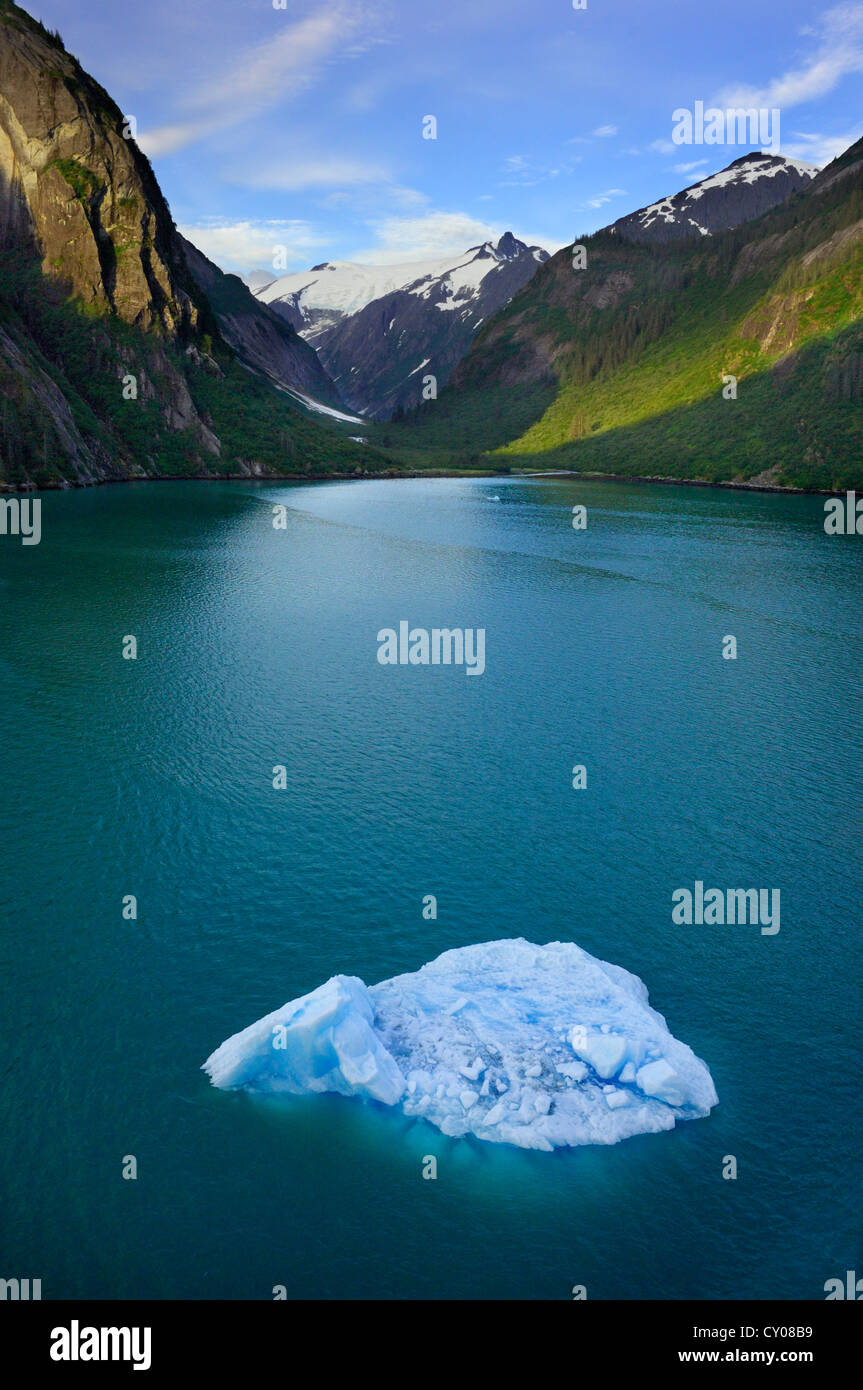 Ice floating in the Tracy Arm Fjord, Tongass National Forest, Alaska ...