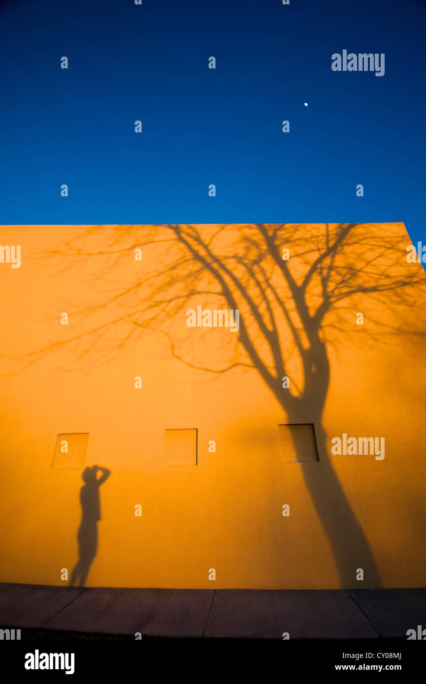 Evening shadow of tree and figure on yellow wall with blue sky Stock ...