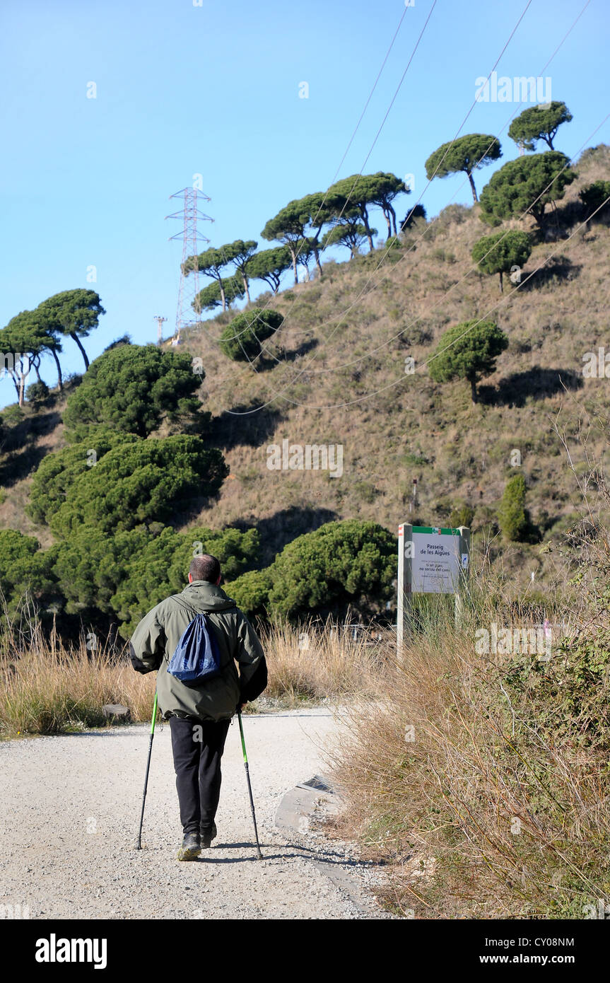 Walking Canes High Resolution Stock Photography and Images - Alamy