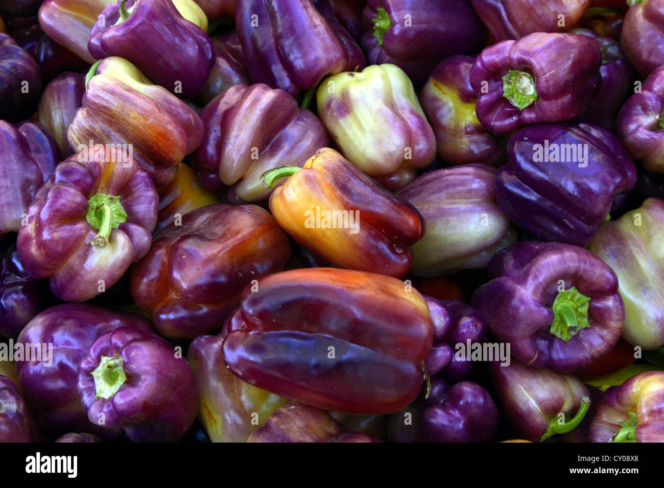 Multi colored bell peppers hi-res stock photography and images - Alamy