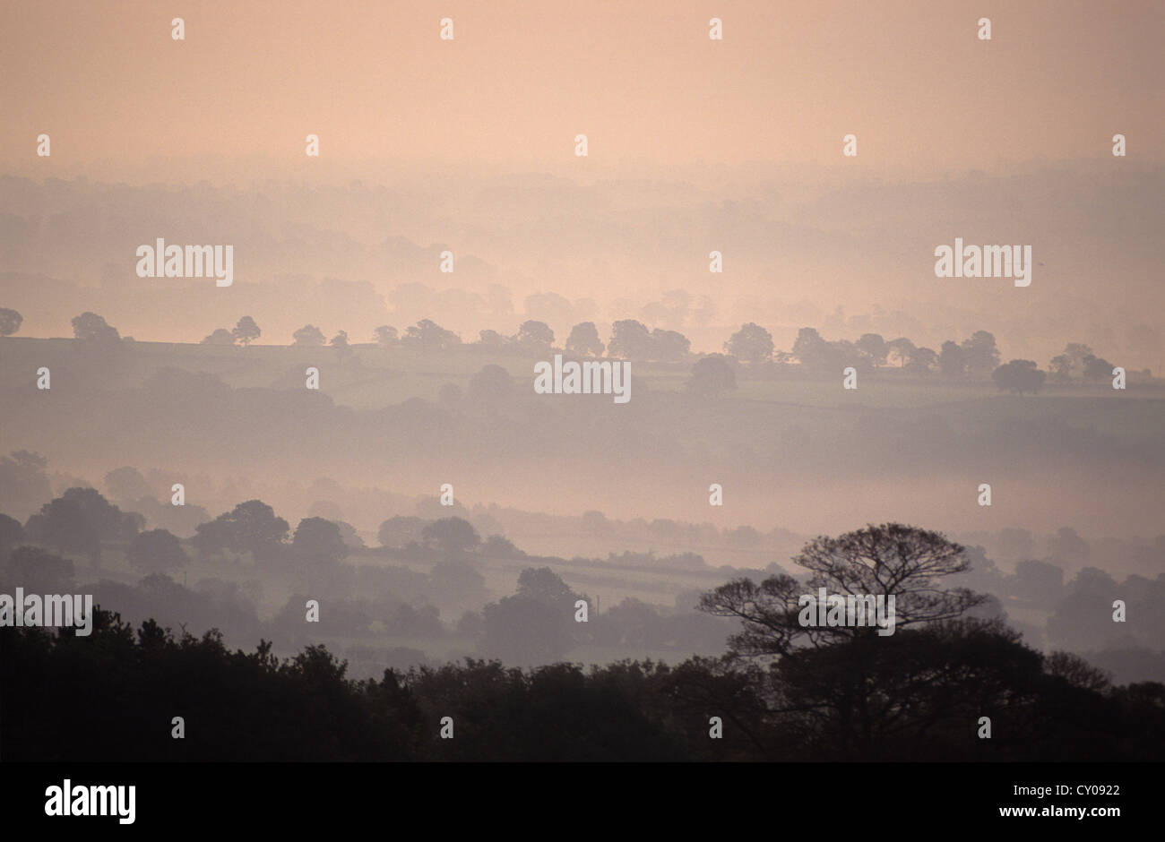 United Kingdom, Staffordshire, misty sunrise over rural Staffordshire ...