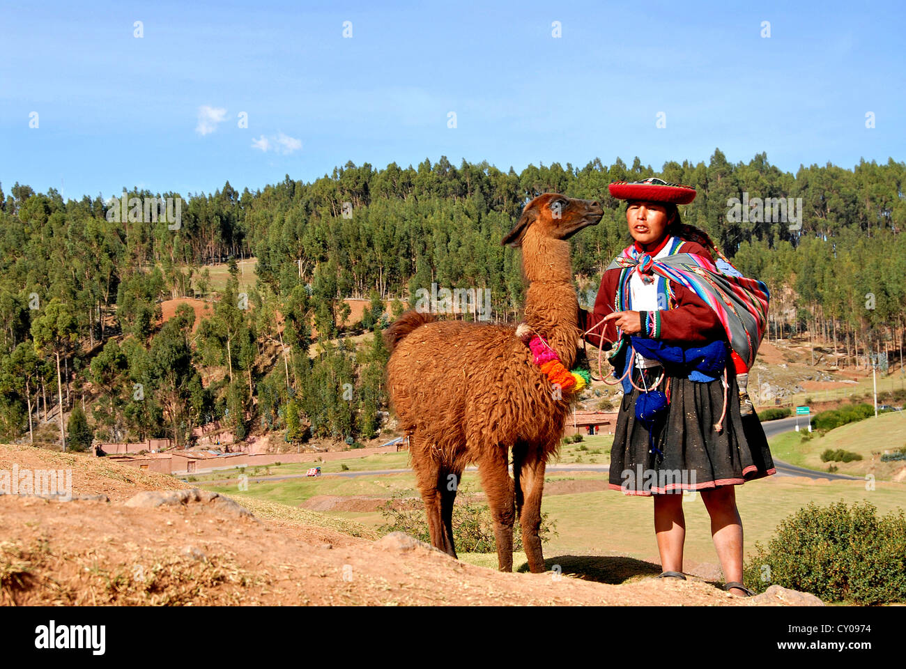 peruvian woman and his lama, Cuzco, Peru, South America Stock Photo - Alamy