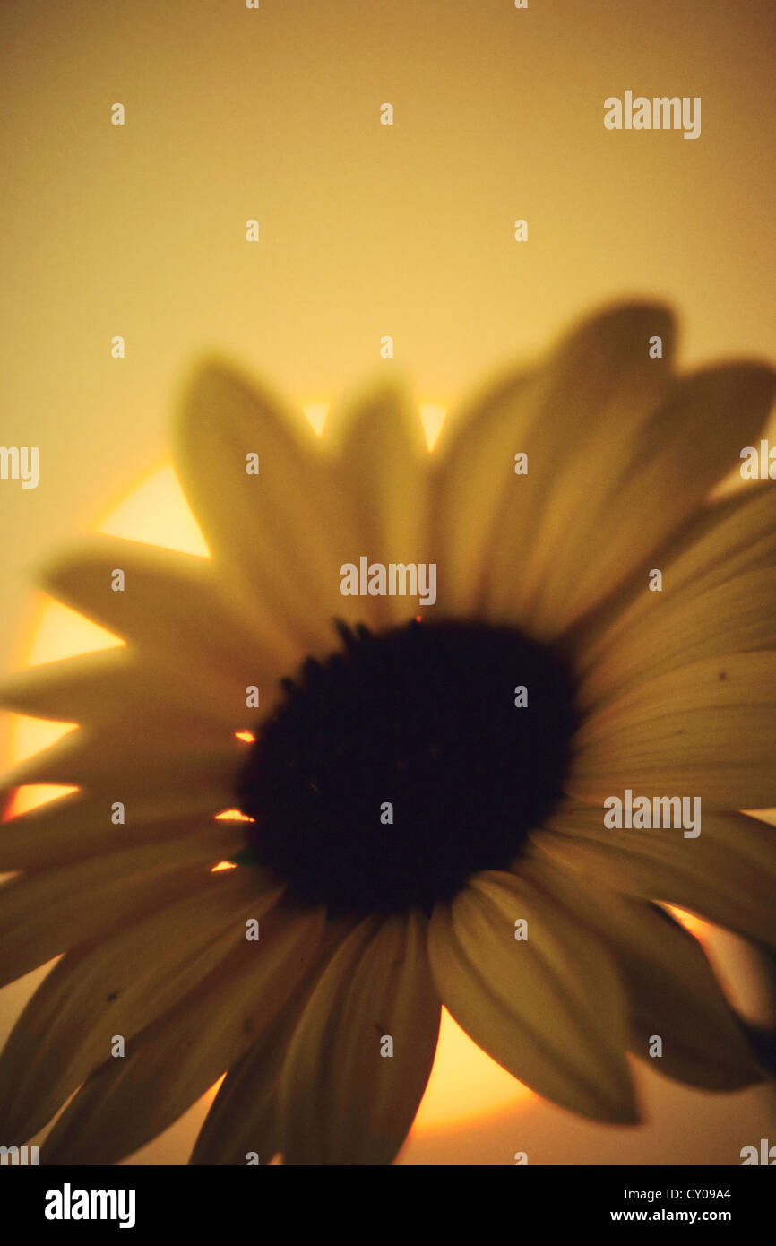 Text areas yellow hi-res stock photography and images - Alamy