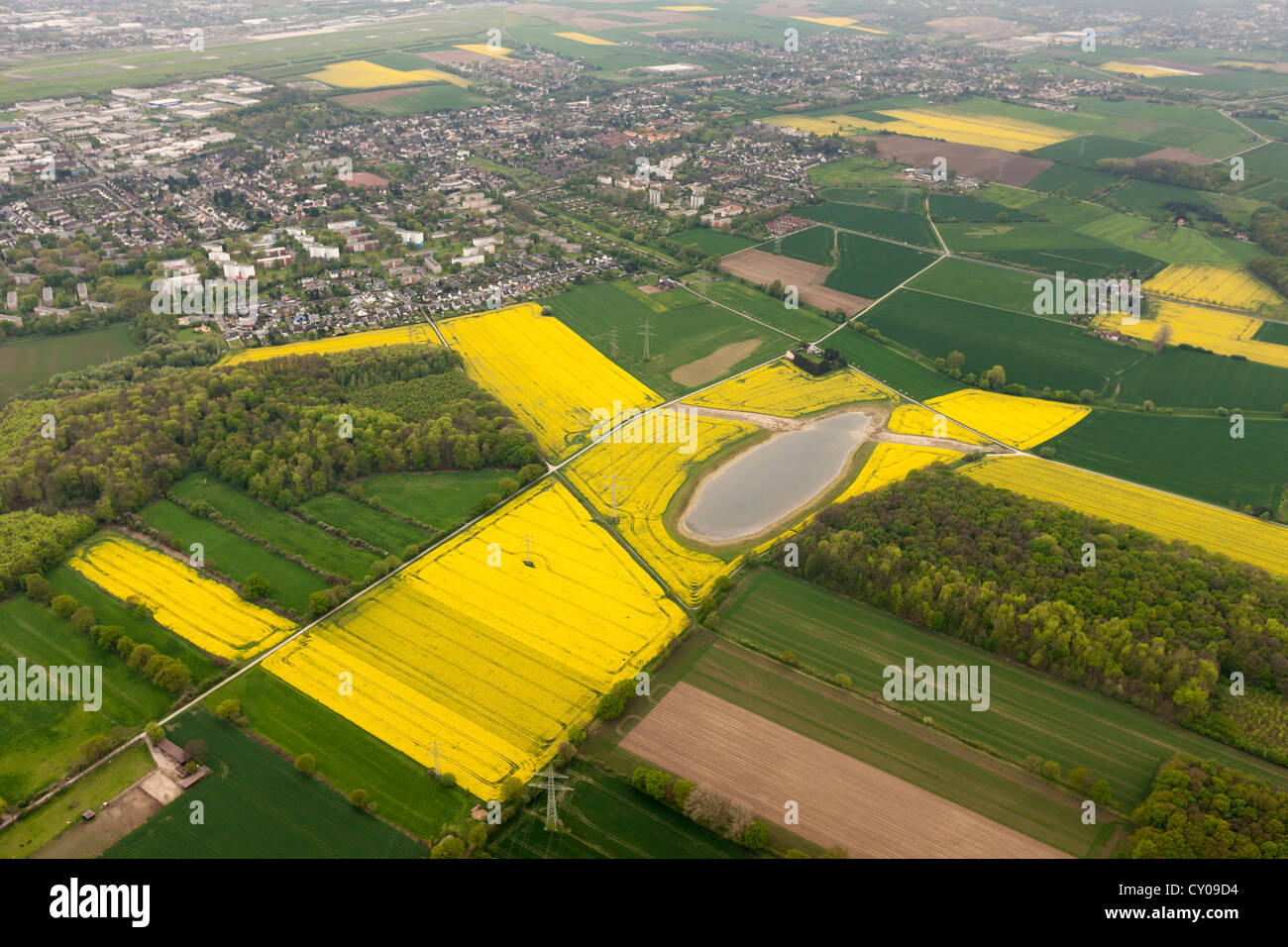 Aerial view, rape fields, Wickede, Dortmund, Ruhr area, North Rhine ...