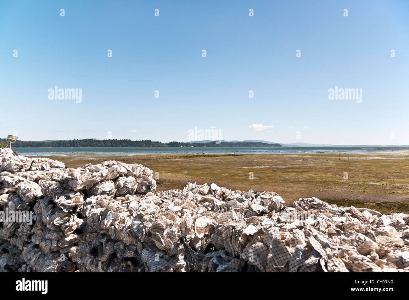 piled mesh bags of used oyster shells ready for recycling to Willipa ...
