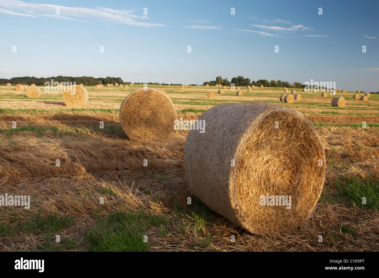 English countryside. Bales of hay scattered in a field on a sunny ...