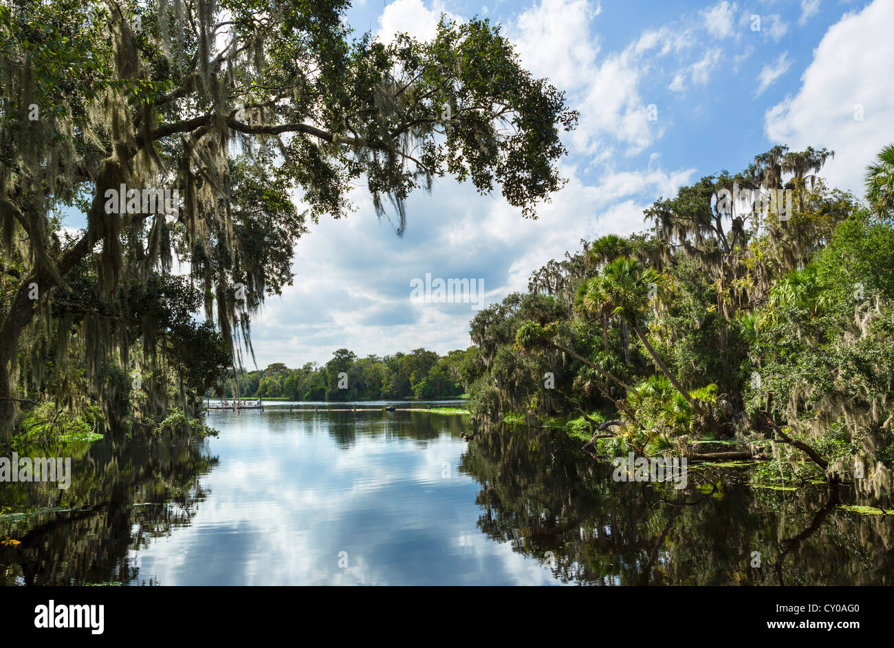 View down the Blue Spring Run towards the St Johns River in Blue Spring ...