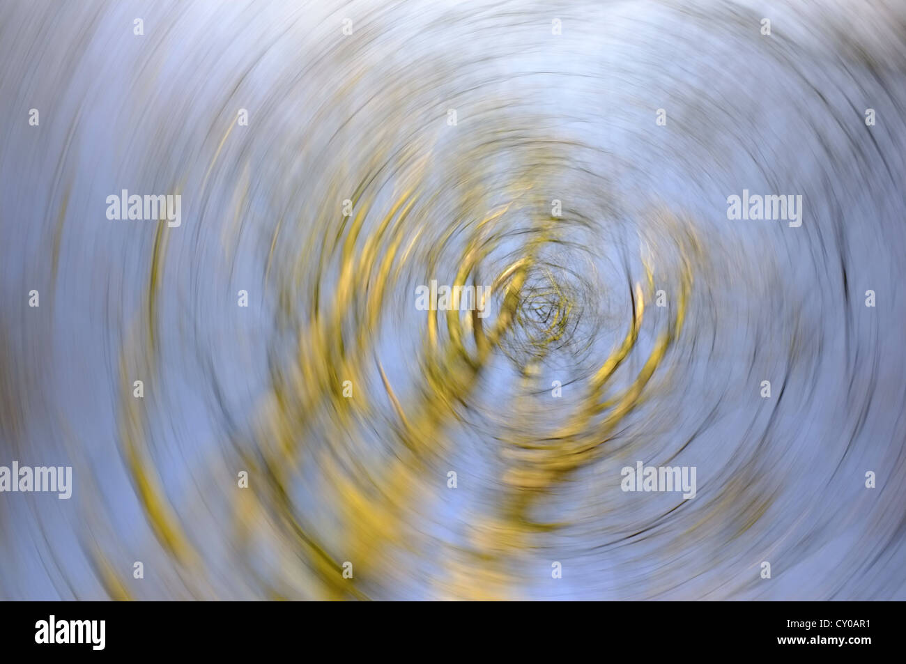 Woodland scene spinning trees Impressionistic Stock Photo - Alamy