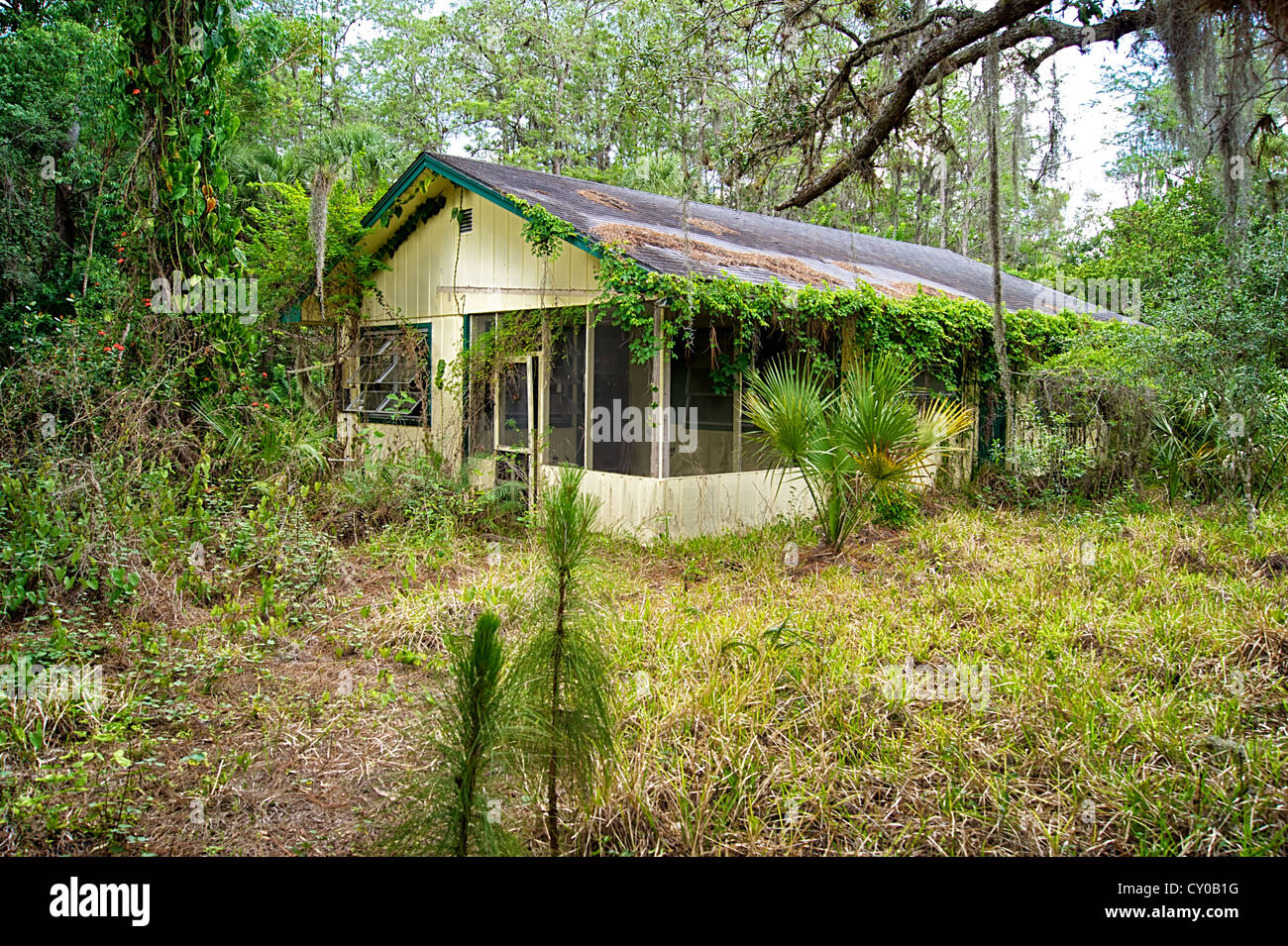 Overgrown yard outside building hi-res stock photography and images - Alamy