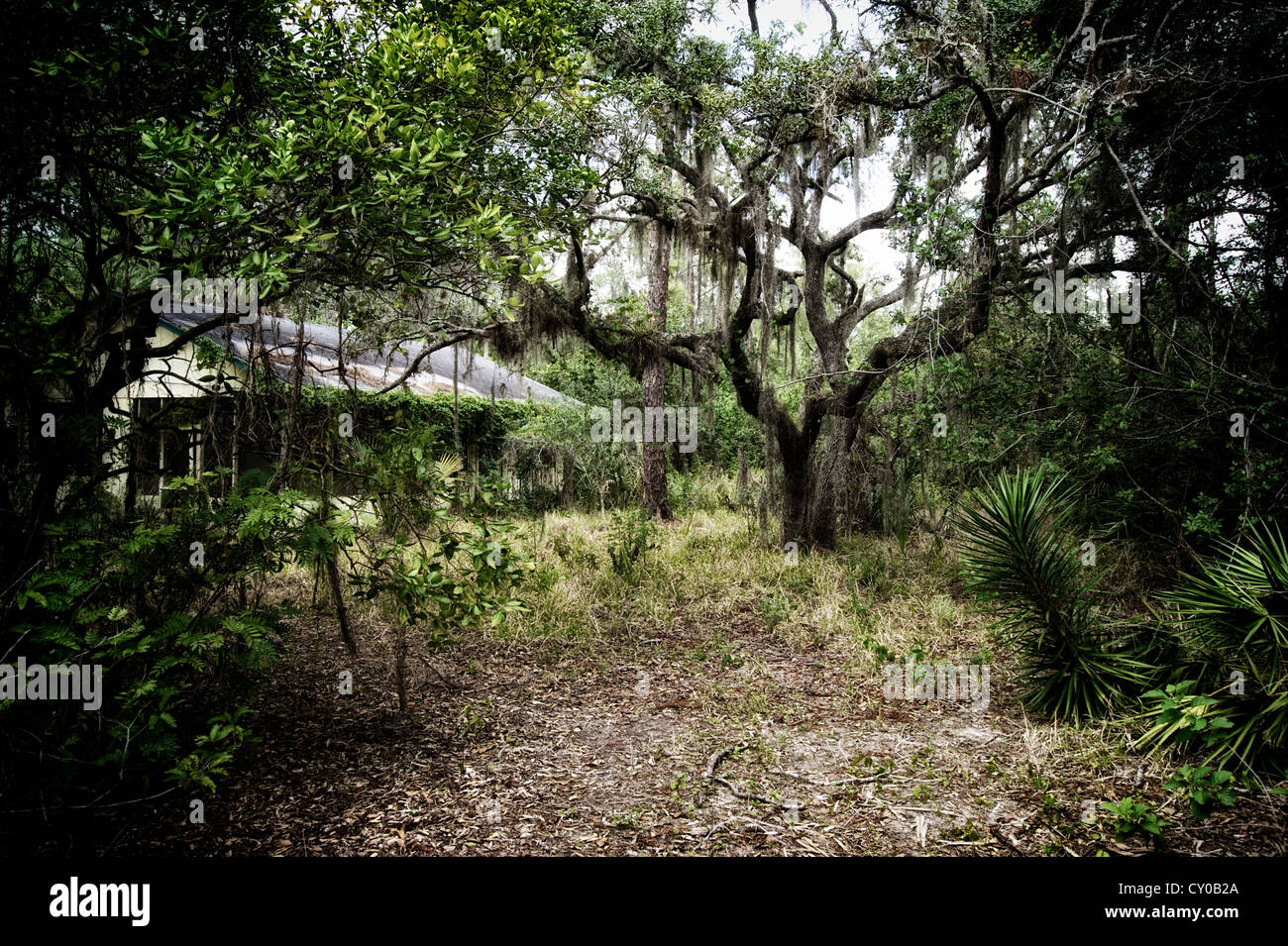 Overgrown yard outside building hi-res stock photography and images - Alamy