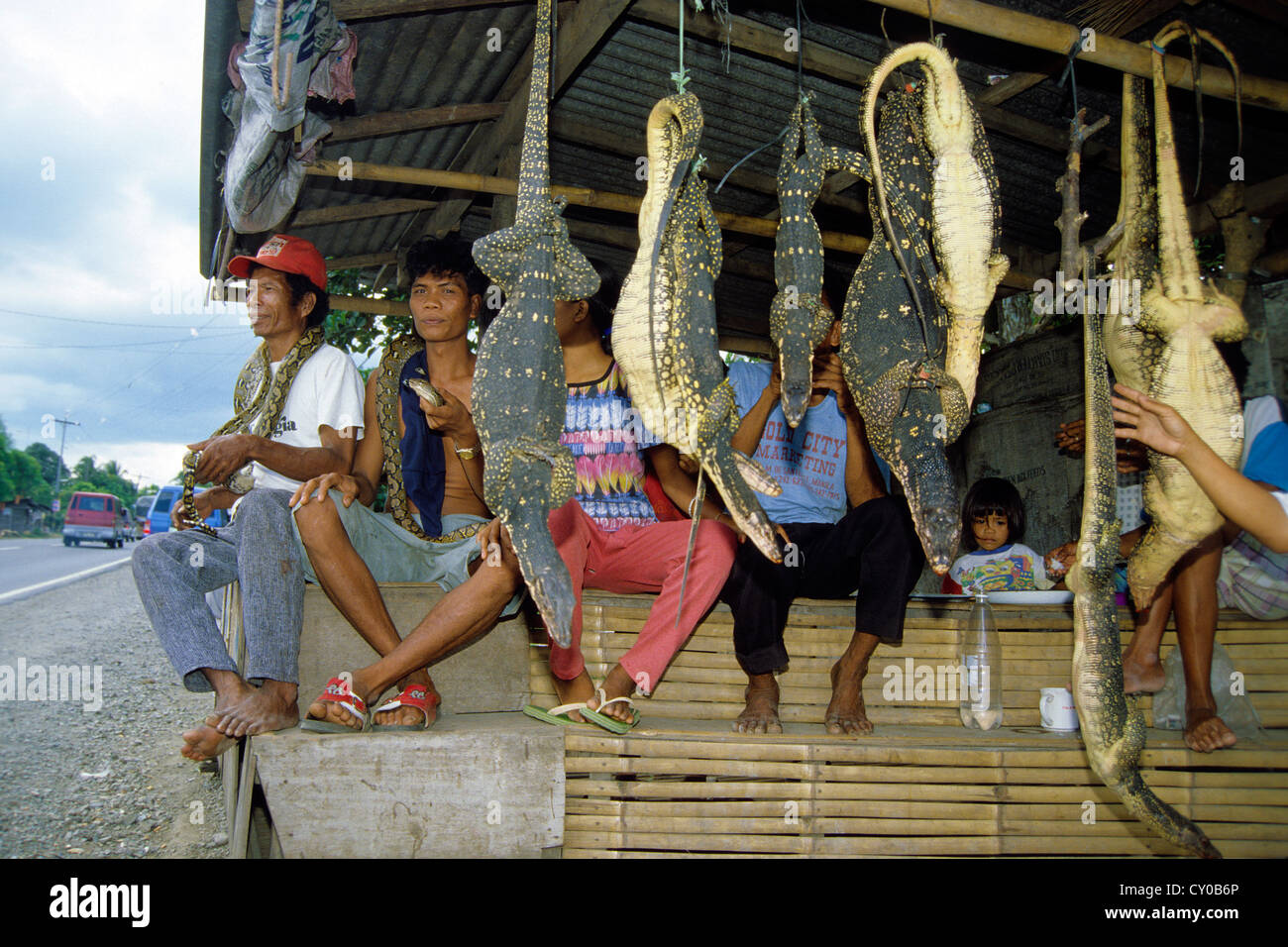 Snakes For Sale High Resolution Stock Photography and Images - Alamy