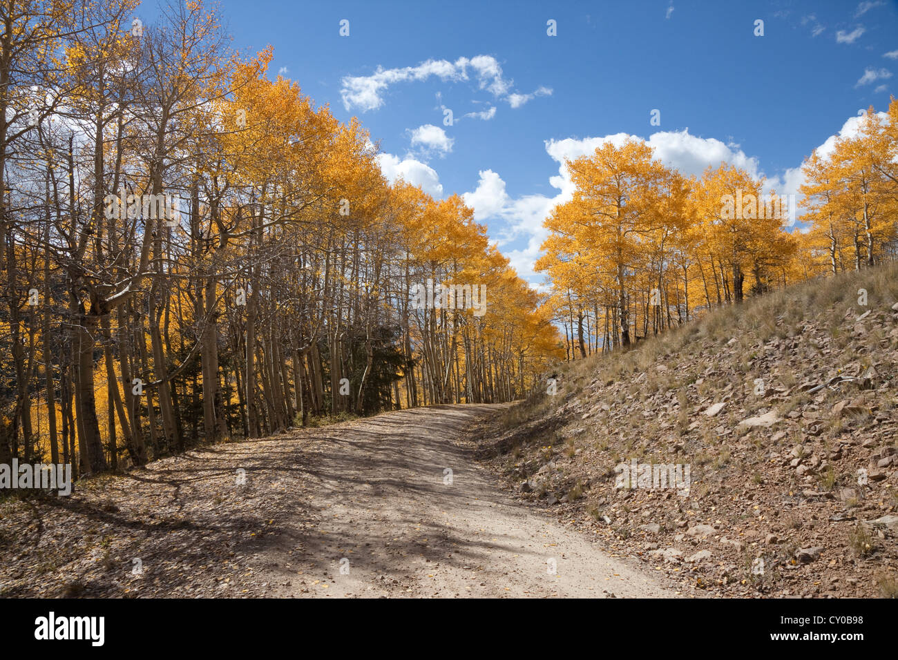 Mt taylor new mexico hi-res stock photography and images - Alamy