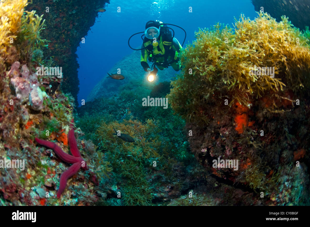 Scuba Diving Mallorca High Resolution Stock Photography and Images - Alamy