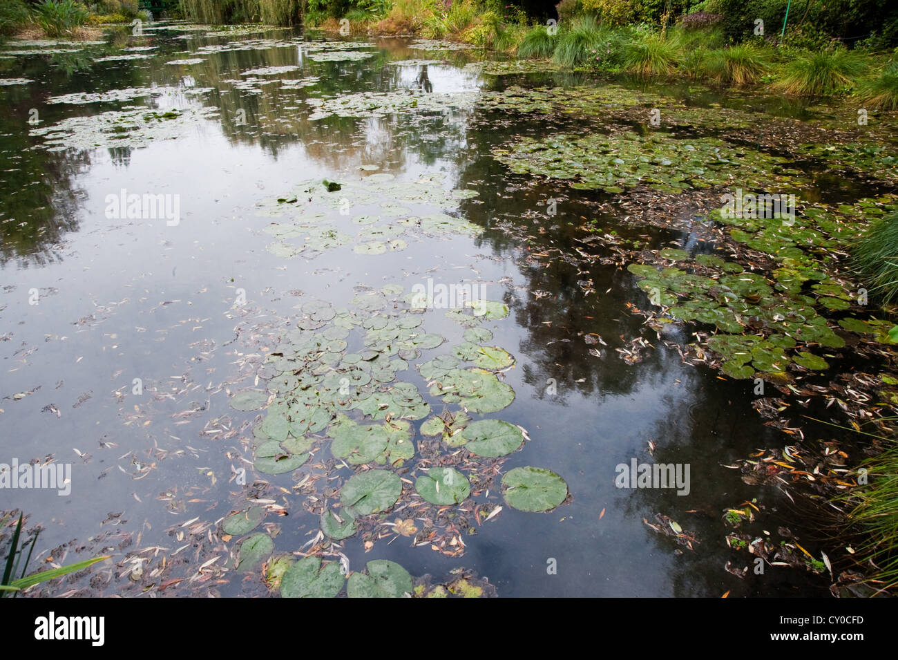 The water lily pond, claude monet hi-res stock photography and images ...