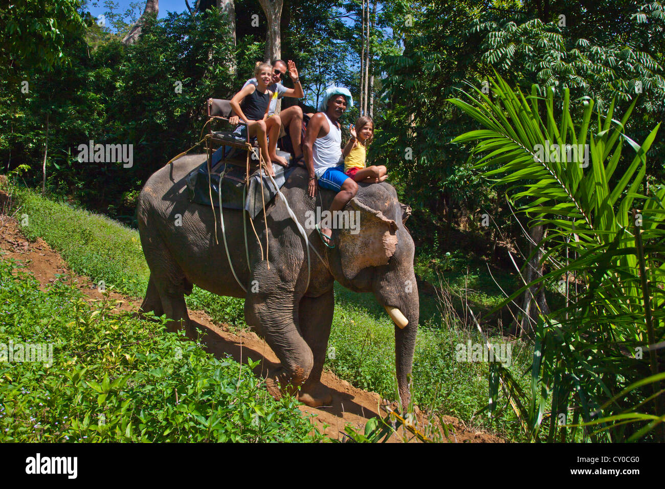 ELEPHANT RIDEs are one of the activities available near KHAO SOK ...