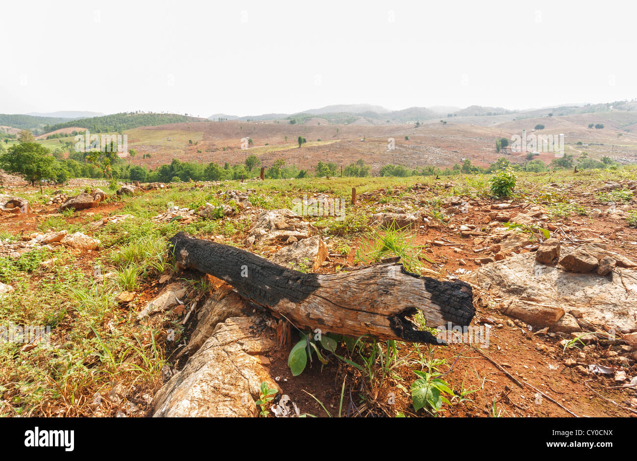 Deforestation disaster hi-res stock photography and images - Alamy