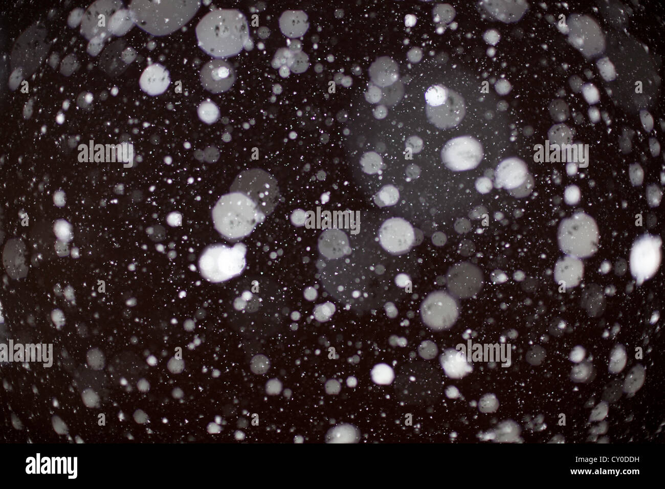Out of focus snowstorm with fill in flash Stock Photo - Alamy
