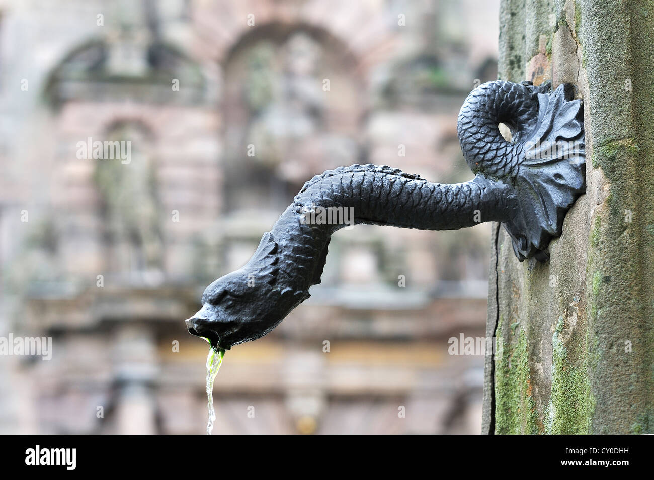 Snake as a gargoyle on Fuerstenbrunnen fountain, built 1787-1789 ...