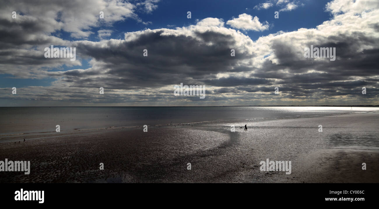 Wide flat beach in north Yorkshire at low tide Stock Photo - Alamy