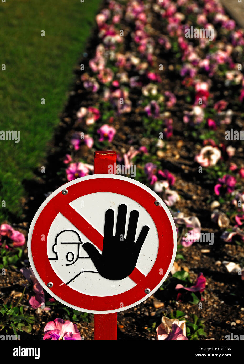 Prohibition sign, do not enter the flower beds, in front of flowering ...